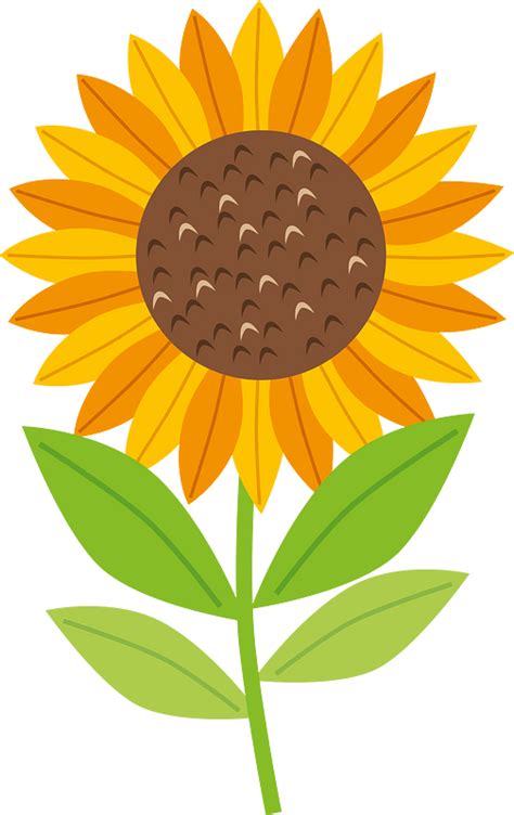 해바라기 클립 아트 무료 다운로드 Creazilla