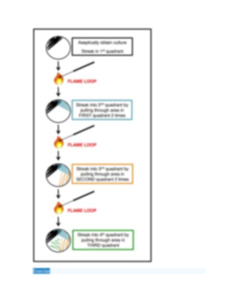 SOLUTION Lab 2 Aseptic Technique Studypool