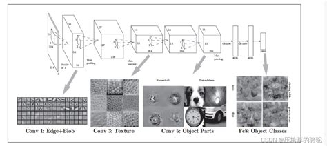 Cnn的可视化cnn全连接层可视化 Csdn博客