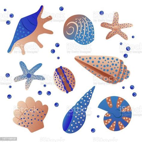 화려한 열대 조개 수중 아이콘 세트 프레임 바다 조개 벡터 삽화 조개와 바다 별이 있는 여름 컨셉 라운드 구성 불가사리 자연 수생 벡터 그림입니다 굴에 대한 스톡 벡터 아트