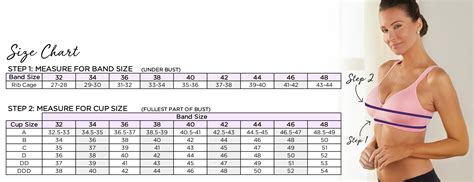 Bra Cup Size Measurement Chart