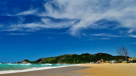 Praia Mole Summer Festival 2026 Schedule Events Venues Gayout