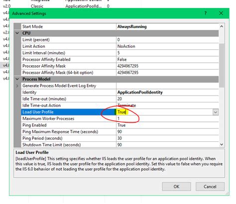 Iis Openiddict Windowscryptographicexception Fixed · Issue 13633