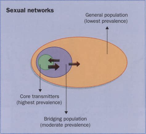 The Staying Power Of Sexually Transmitted Diseases The Lancet