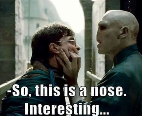 Pin By Anyesha Mukherjee On Harry Potter Harry Potter Memes Hilarious
