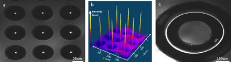 A CCD Image Capturing The Focal Plane Of An Array Of 3x3 Microlenses Download Scientific