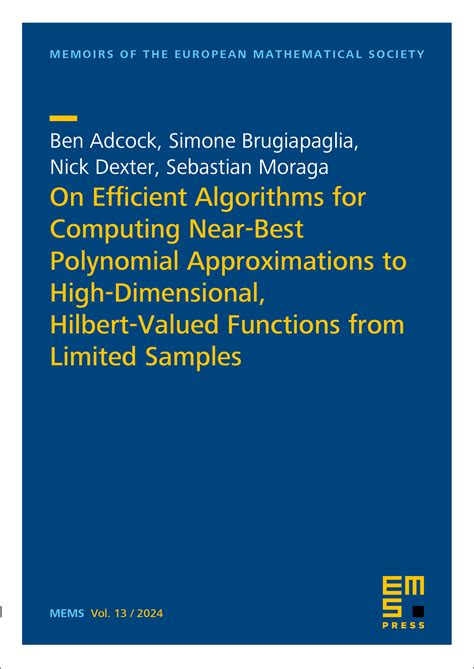 On Efficient Algorithms For Computing Near Best Polynomial Approximations To High Dimensional