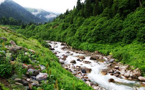 Ravine Hd Wallpapers Backgrounds