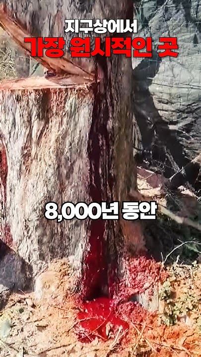 지구상에서 가장 원시적인 곳 Shorts Youtube