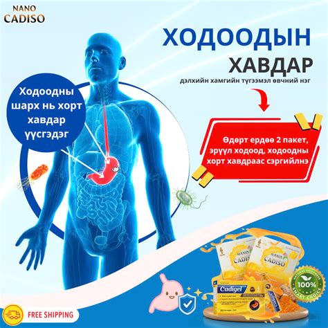 Nano Cadiso Жинхэнэ Ходоодны эрүүл мэндийг хамгаална 💰 Nano Cadiso Үнэ нь өндөр ч үнэ