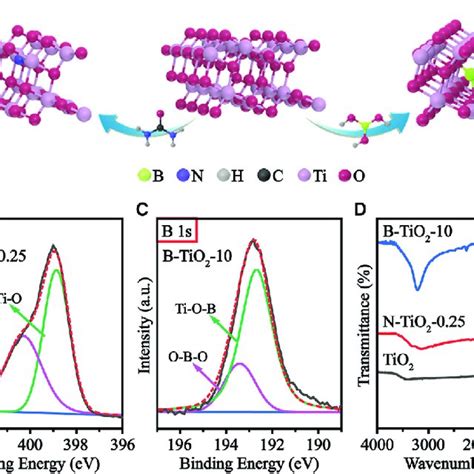Structure Analysis Of N And B Doped TiO 2 A Schematic Of The Download Scientific Diagram