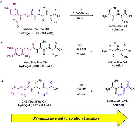 Peptide Based Supramolecular Hydrogels As Drug Delivery Agents Recent