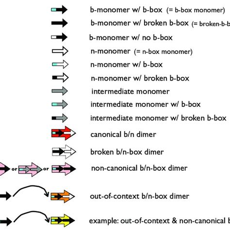 A Classification Framework For Monomers And Dimers Monomers Are Download Scientific Diagram