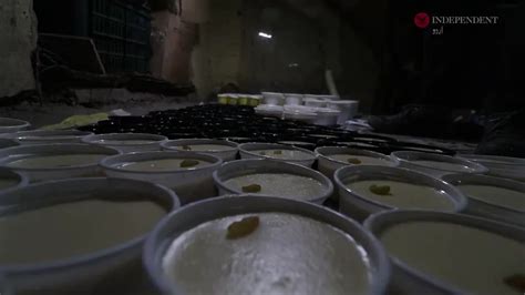 Najmus Saqib On Linkedin Kashmir Creativestories Videooftheday Dailylife Ramdhan