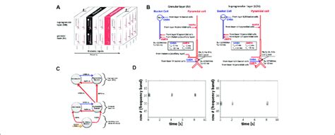 Neural Network Model Of Auditory Cortex A Schematic Of Multi Layer