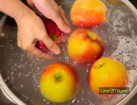 사과 칩스 말린 사과