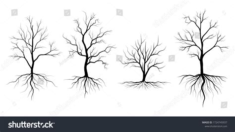 Oak Tree Silhouette With Roots