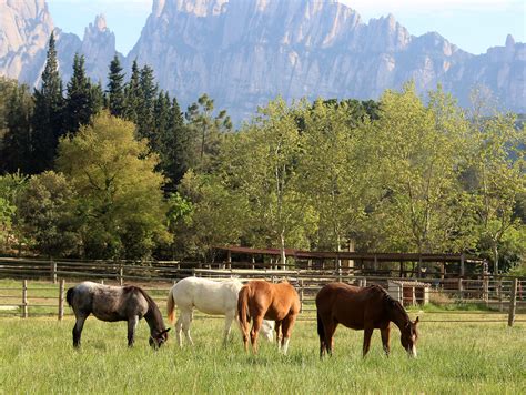 El Rancho Naturalhipic