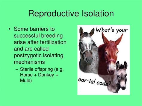 Reproductive Isolation