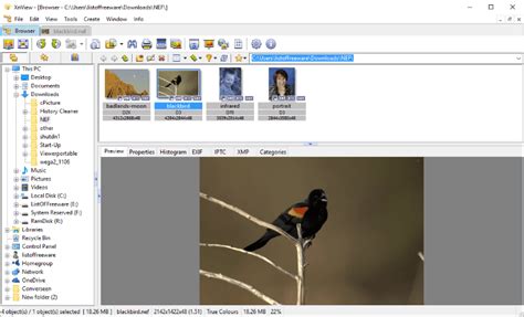 25 Best Free Nef Viewer Software For Windows