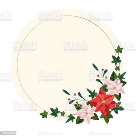 베이지 색 배경에 포인세티아 레드 베리 아이비 골드 라인이 있는 겨울 꽃화환 크리스마스 벡터 원 프레임 Xm및 새해 디자인에