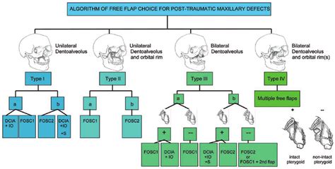 Maxillary Defect Management Algorithm From Rodriguez Ed Martin M