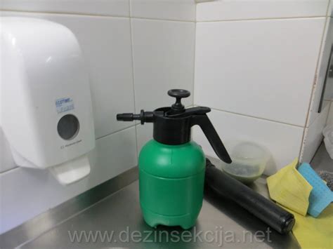 Dezinsekcija Bubarusa I Bubasvaba U Beogradu I Novom Sadu