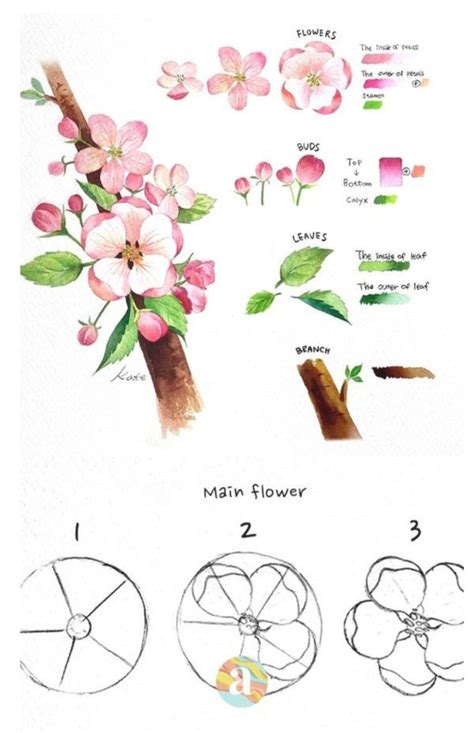 Pin By Ema On رسم Flower Drawing Tutorials Flower Drawing Flower