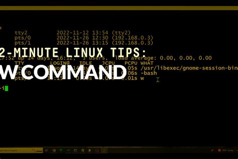How To Use The W Command Linux Punx
