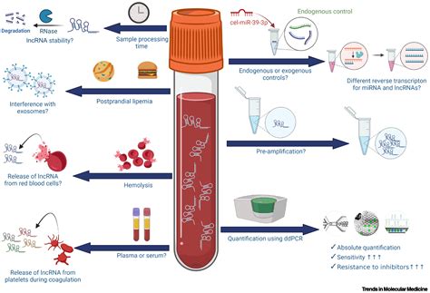 Cell Quantification Definition At Douglas Reddin Blog