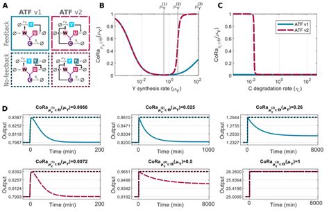 Characterizing The Antithetic Feedback Motif Atf Using Cora A The Download Scientific