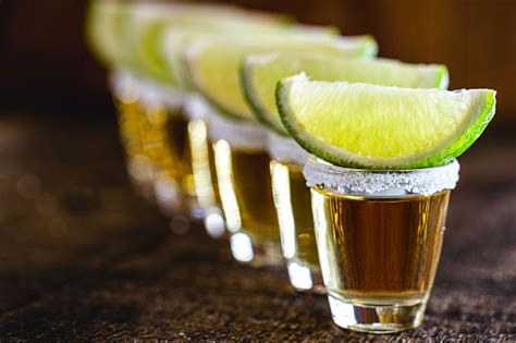 데킬라 레몬 소금이 줄지어 있는 데킬라 안경 7월 24일에 국제적으로 축하되는 멕시코에서 전형적인 음료 데킬라 의 날 0명에 대한 스톡 사진 및 기타 이미지 Istock