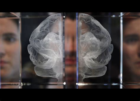 This Is What Sex Looks Like Inside An Mri Scanner Nsfw Huffpost Impact