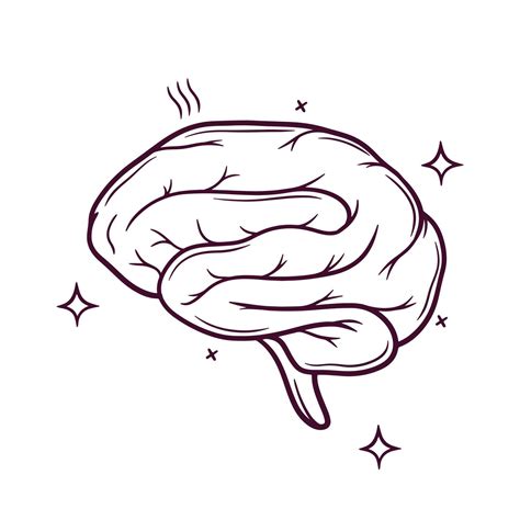 Human Brain Hand Drawn Icon Hand Drawn Vector Illustration 23688342 Vector Art At Vecteezy