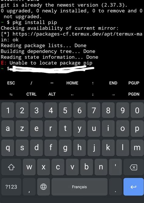 Neovim With Phphtmljs Rtermux