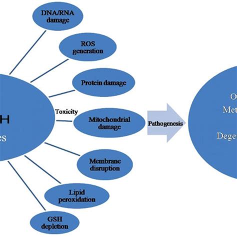 Pdf Aldehyde Toxicity And Metabolism The Role Of Aldehyde