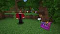 Make A Professional Custom Minecraft Datapack By Astra Plays Fiverr