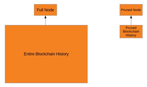 Pruned Node Benefits And Drawbacks Thebtcindex