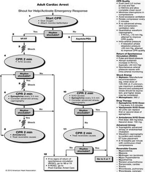 Acls Algorithms Trauma Anesthesia