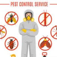 Pest Busters Pest Vermin Control Services Yell