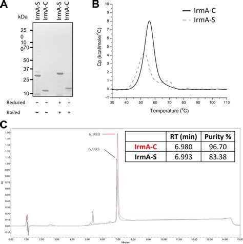 Efficient Autotransporter Mediated Extracellular Secretion Of A Heterologous Recombinant Protein
