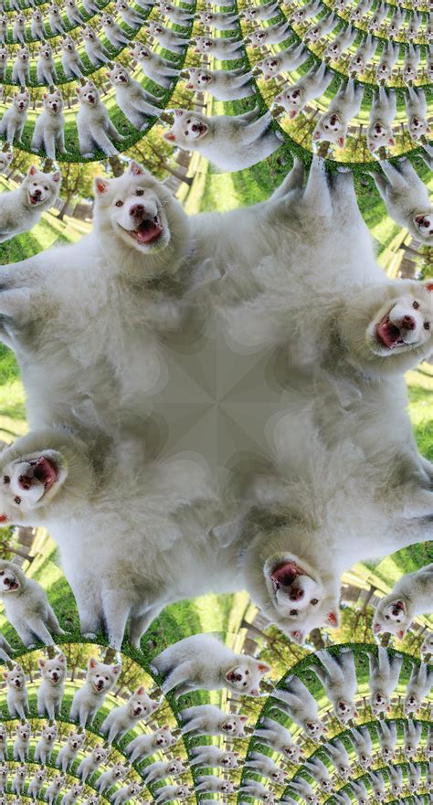 Github Jerry Gcimg Conformal Image Mapping