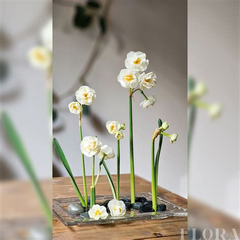 월간 플로라 🏕에코플라워🌱 ⠀ 친환경 에코에 관해 많은 사람들이 관심을 가지고 있는데요 월간