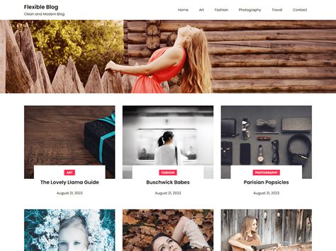 Flexible Blog Wordpress Theme