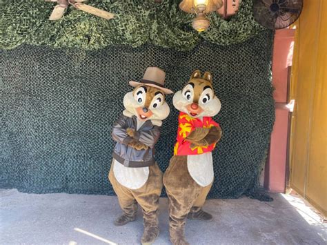 Fun Facts About Chip And Dale Rescue Rangers Chip N Dale Rescue Rangers Season Image
