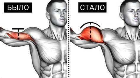 Только гантели 6 упражнений на руки бицепс и трицепс для роста мышц