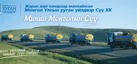 Сүү Хувьцаат Компани Хүний нөөцийн ахлах менежер