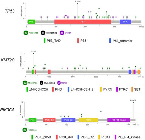 Tumor Mutational Profile Of Triple Negative Breast Cancer Patients In