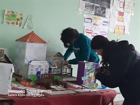 ნონას ბლოგი კომპლექსური დავალებები