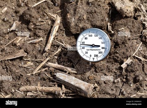 Soil Thermometer In Soil Of Farm Field Soil Temperature Planting
